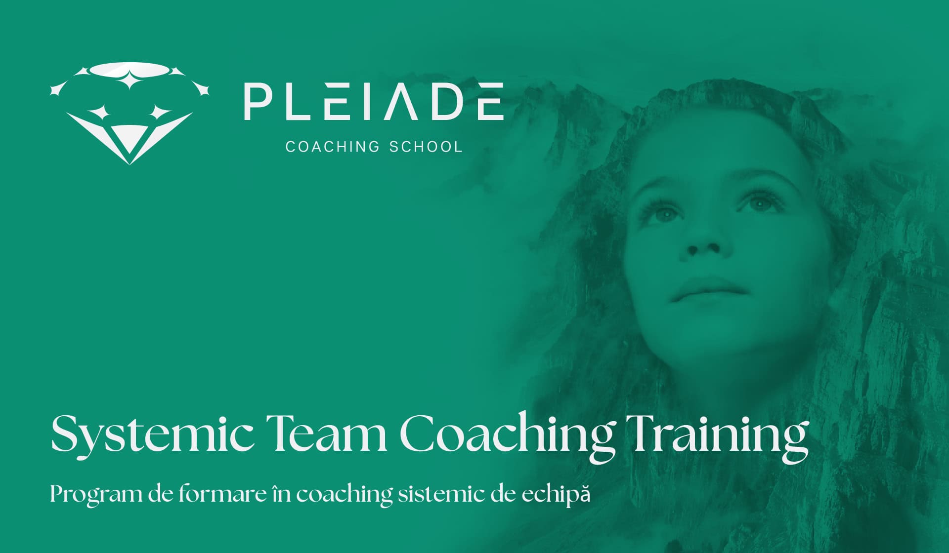 Systemic Team Coaching Training